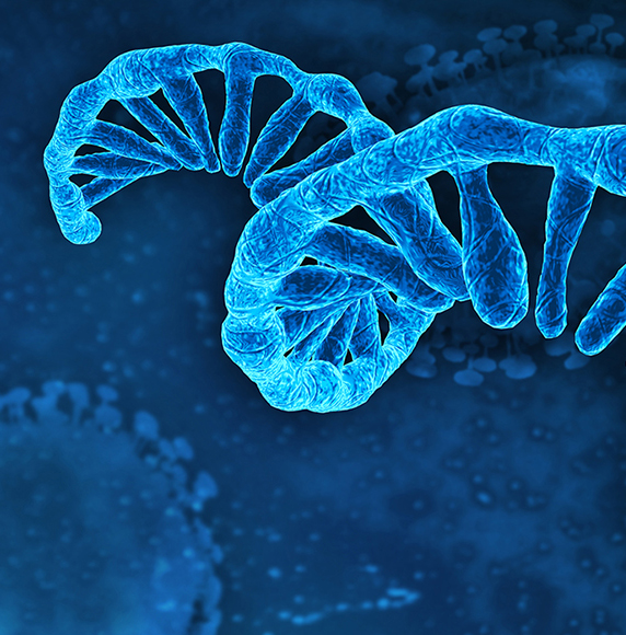 mRNA Purification Application Notes - ADS Biotec